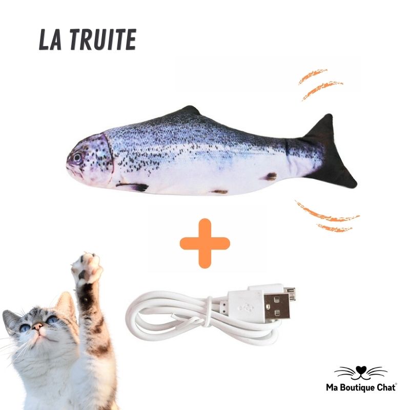 Poisson pour chat | CatsFish™ – Ma Boutique Chat